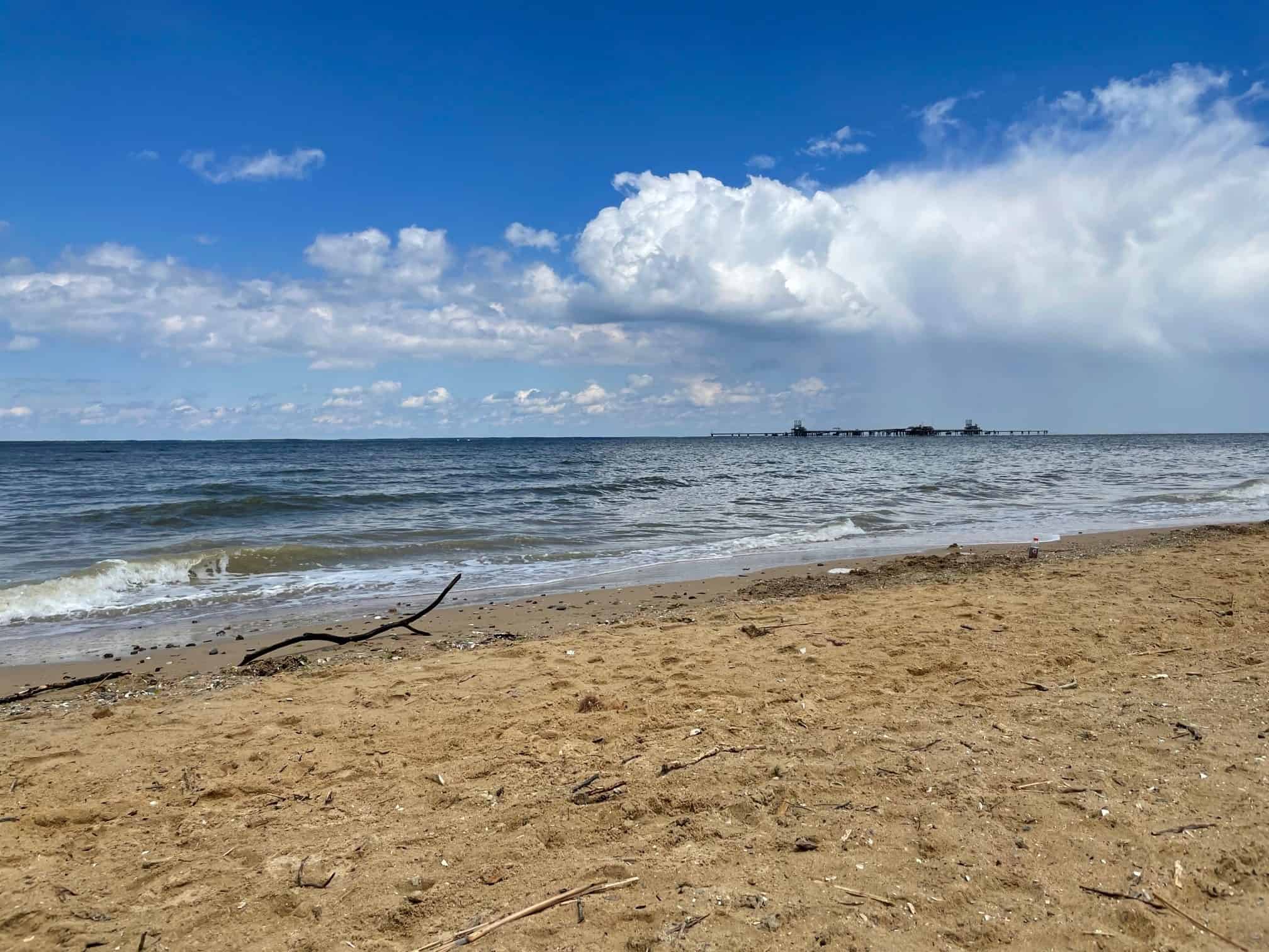 State Park Spotlight: Calvert Cliffs State Park - The Road Goes On Forever